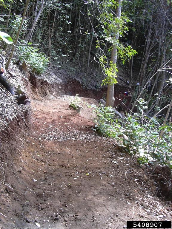 unpaved roads and trails