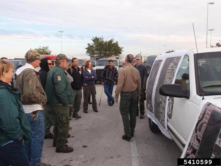 Pythons Python Spp Squamata Pythonidae 5410599 2843