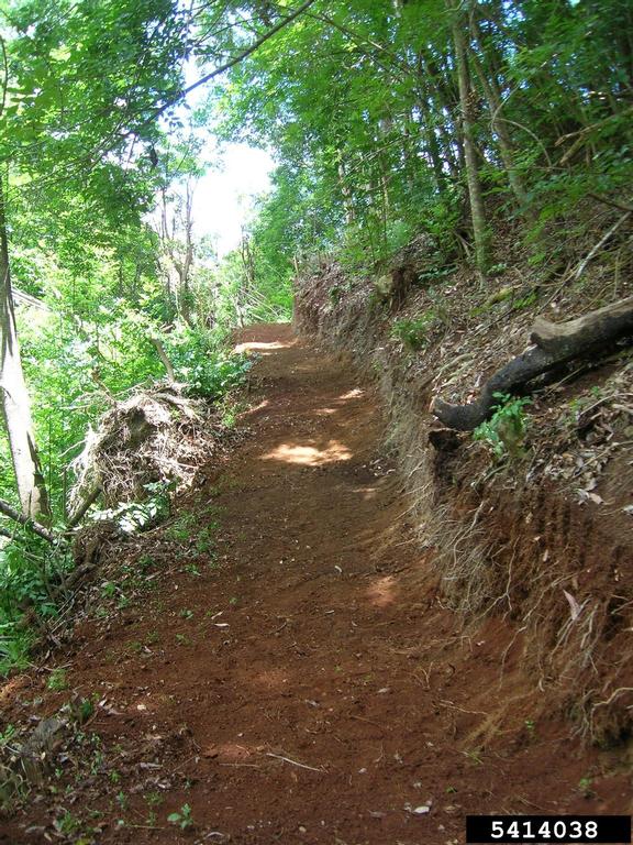 unpaved roads and trails