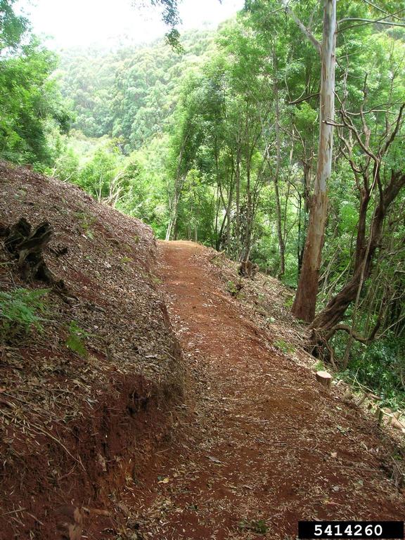 unpaved roads and trails