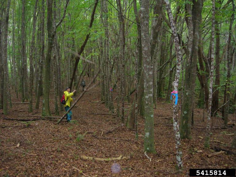 unpaved roads and trails