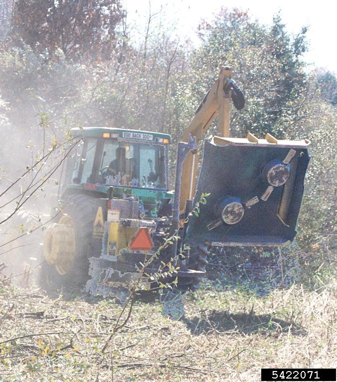 brush removal-5422071