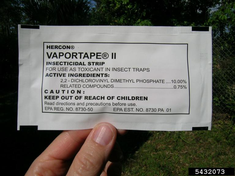 armyworms (Genus Spodoptera)