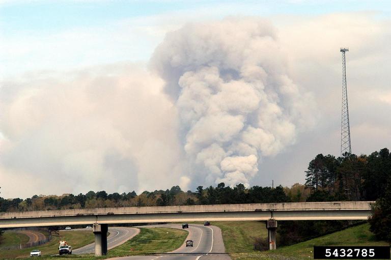 air pollutants, (Abiotic: Other abiotic damage) - 5432785