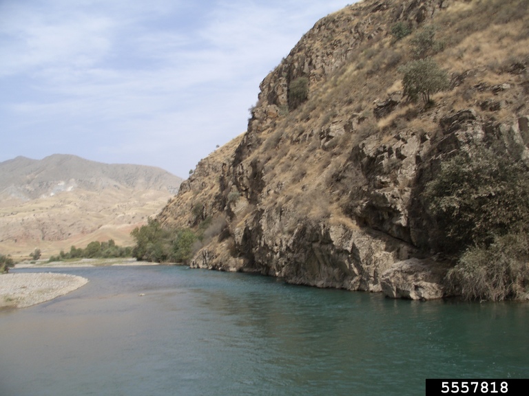 rivers and streams