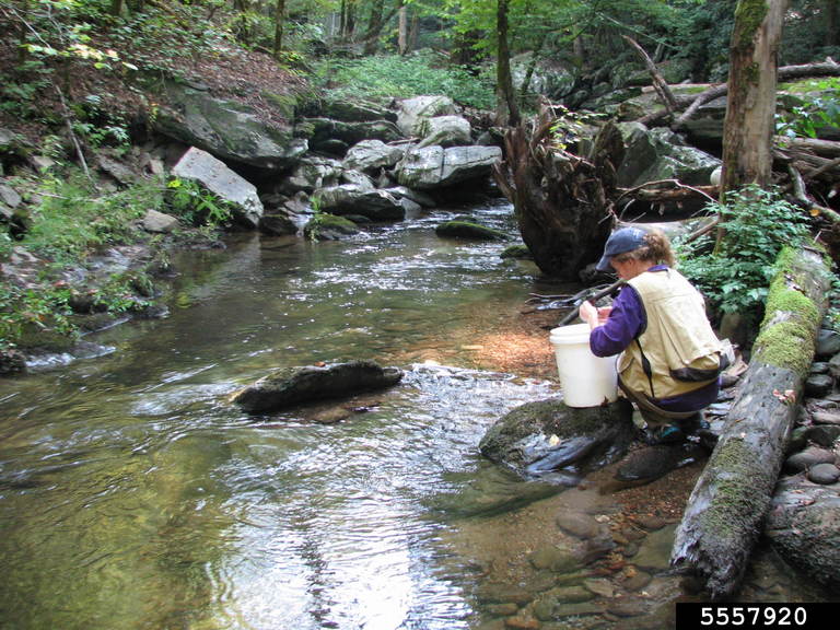 rivers and streams