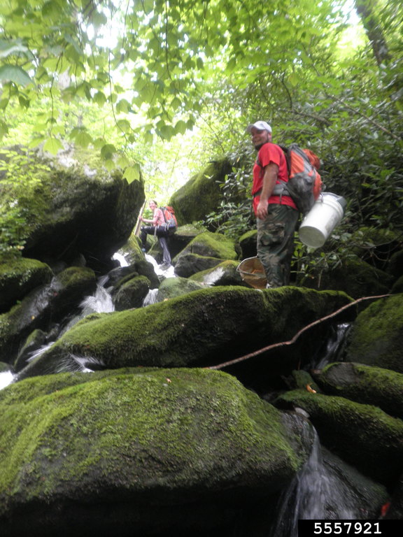 rivers and streams