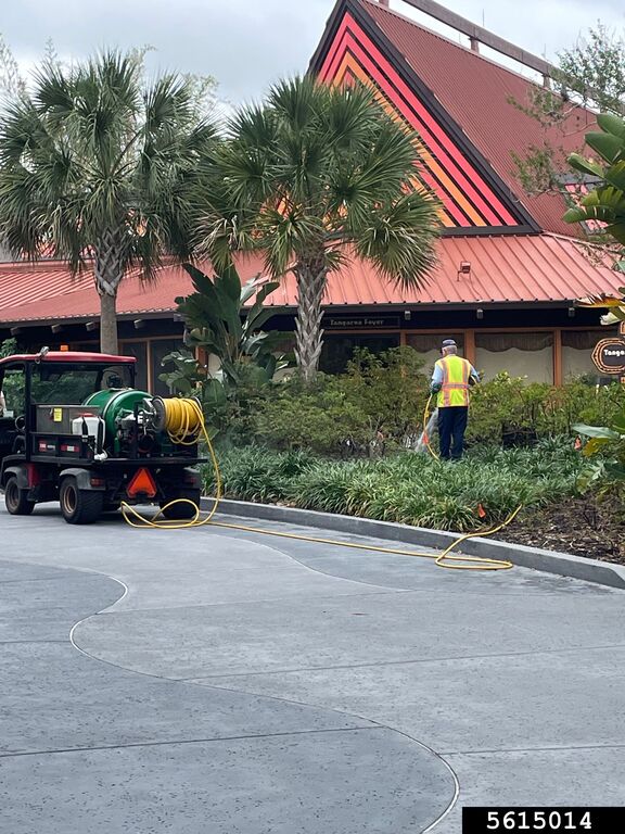 pesticide safety