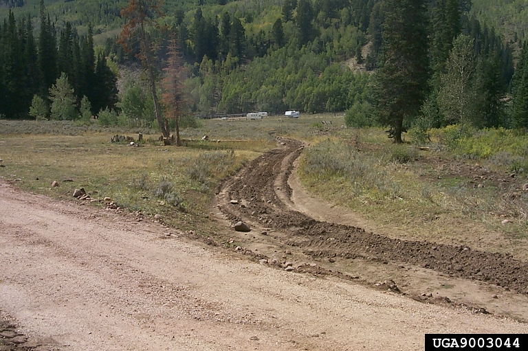 unpaved roads and trails