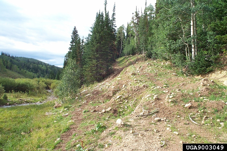 unpaved roads and trails-9003049