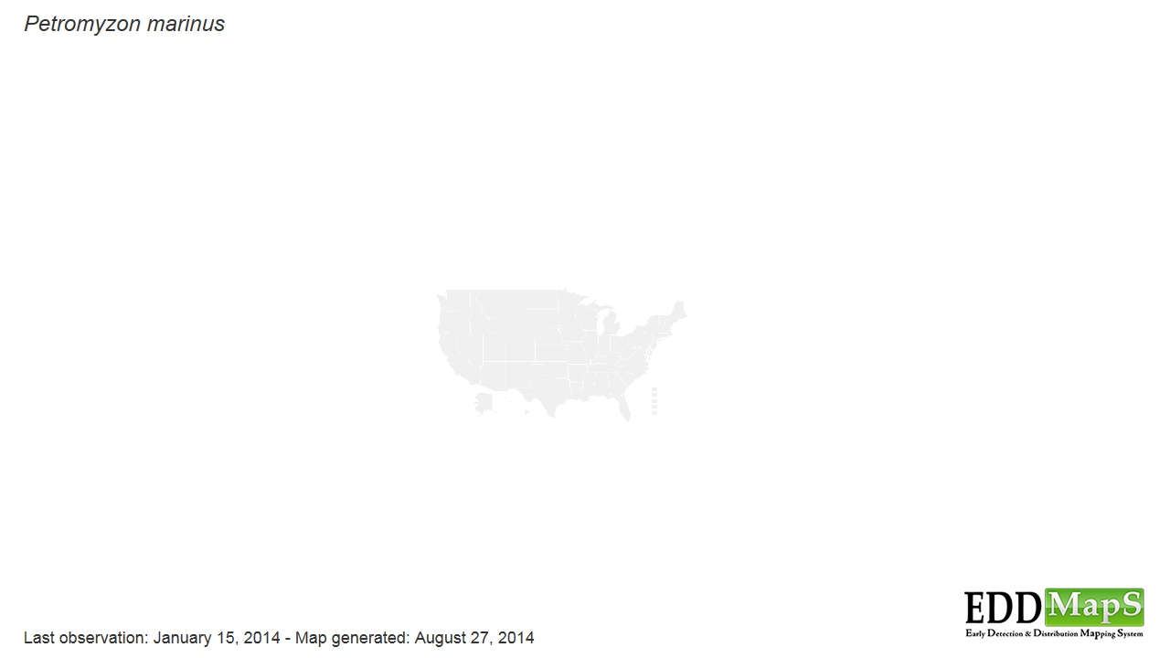 sea lamprey, Petromyzon marinus N/A Petromyzontiformes: Petromyzontidae