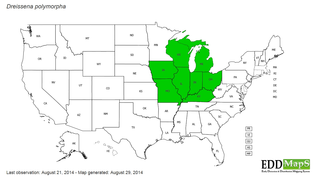 zebra mussel (Dreissena polymorpha) - EDDMapS State Distribution