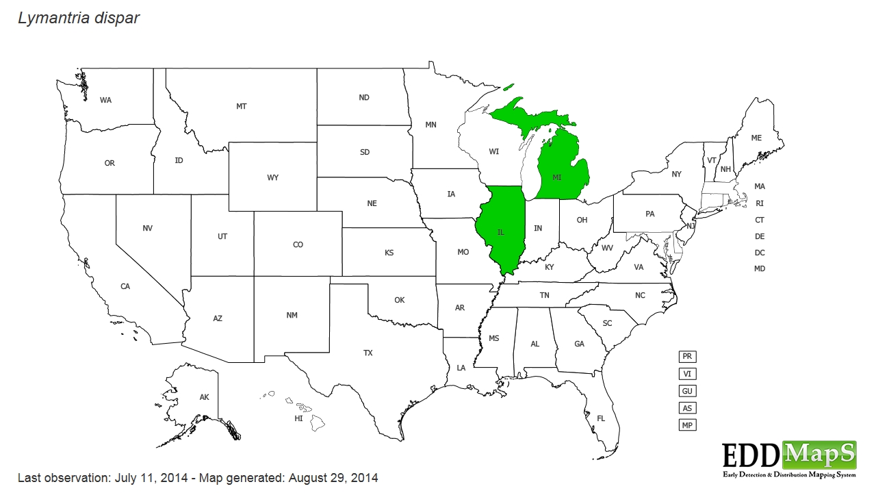 gypsy moth (Lymantria dispar) - EDDMapS State Distribution