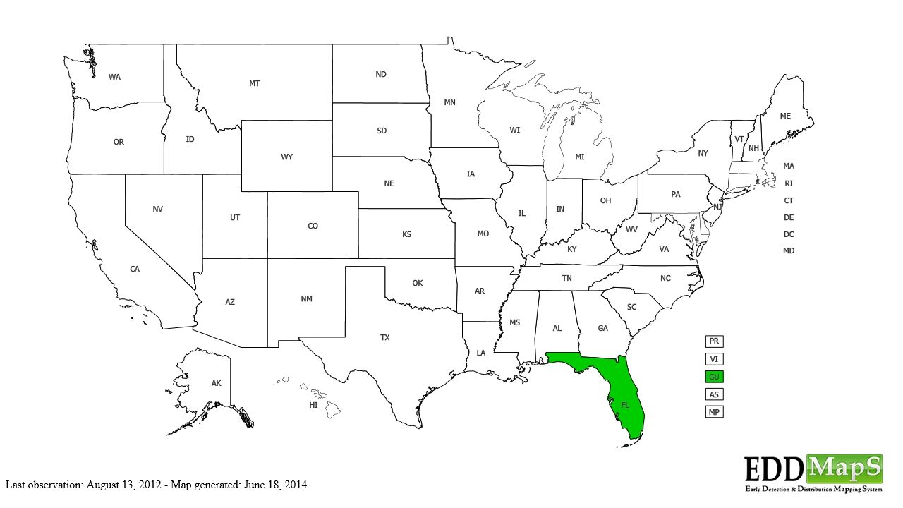 Indian mongoose (Herpestes javanicus) - EDDMapS State Distribution