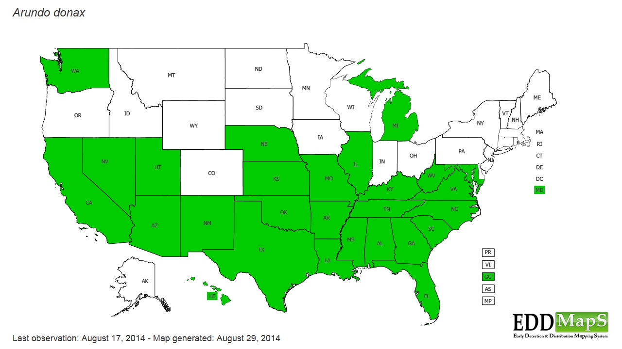 giant reed (Arundo donax) - EDDMapS State Distribution