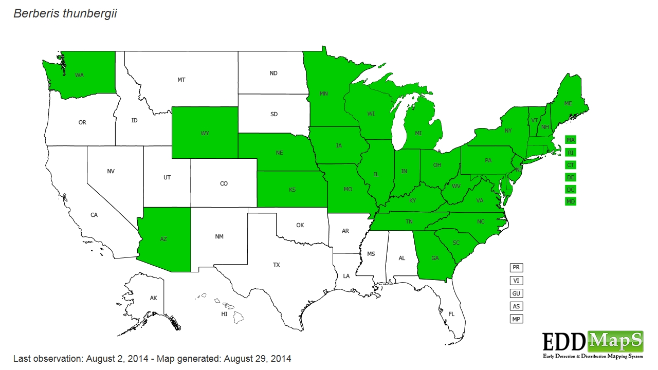 Japanese barberry (Berberis thunbergii) - EDDMapS State Distribution