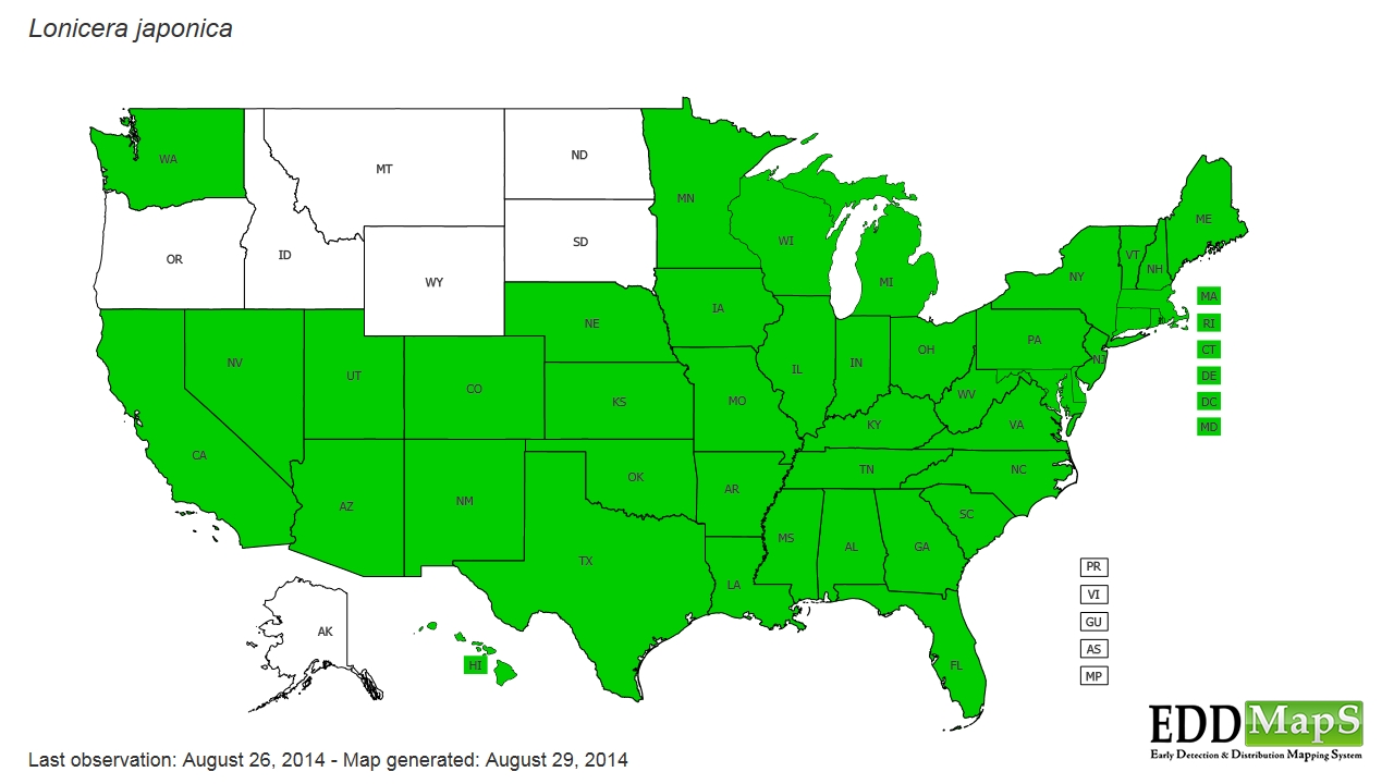 Japanese honeysuckle (Lonicera japonica) - EDDMapS State Distribution