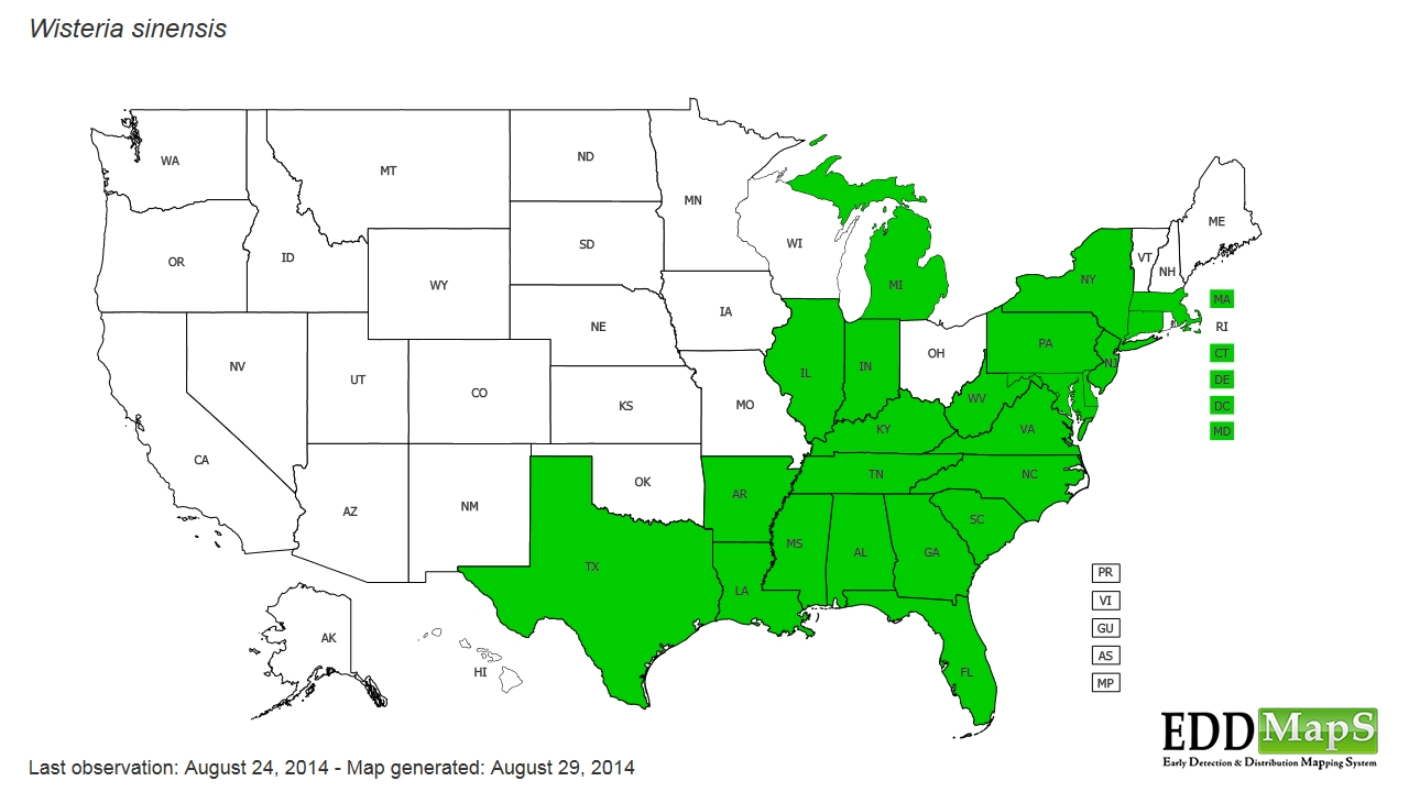 Chinese wisteria (Wisteria sinensis) - EDDMapS State Distribution