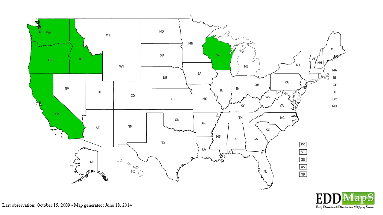 ventenata (Ventenata dubia) - EDDMapS State Distribution