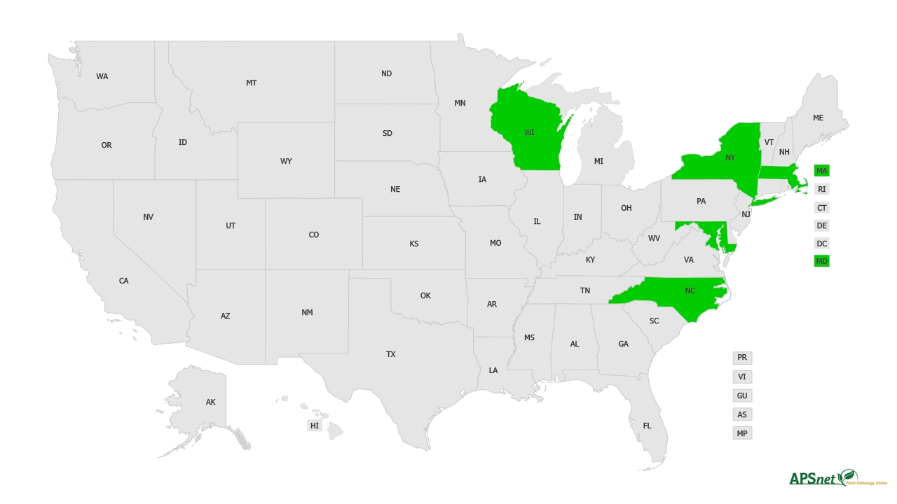 flyspeck (Schizothyrium pomi (Mont. & Fr.) Arx)