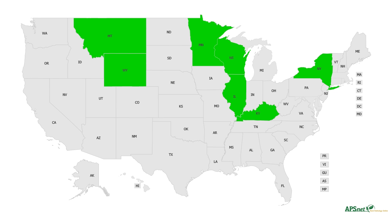 damping-off/Aphanomyces root rot, Aphanomyces euteiches Saprolegniales ...