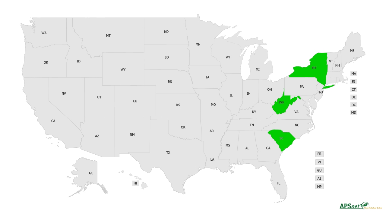 Dutch elm disease (novi-ulmi), Ophiostoma novo-ulmi Ophiostomatales ...