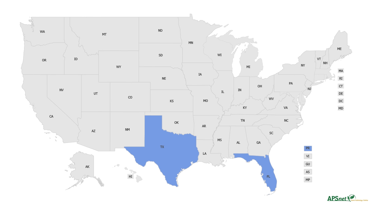 bean golden mosaic virus BGMV), Begomovirus BGMV Unassigned single ...