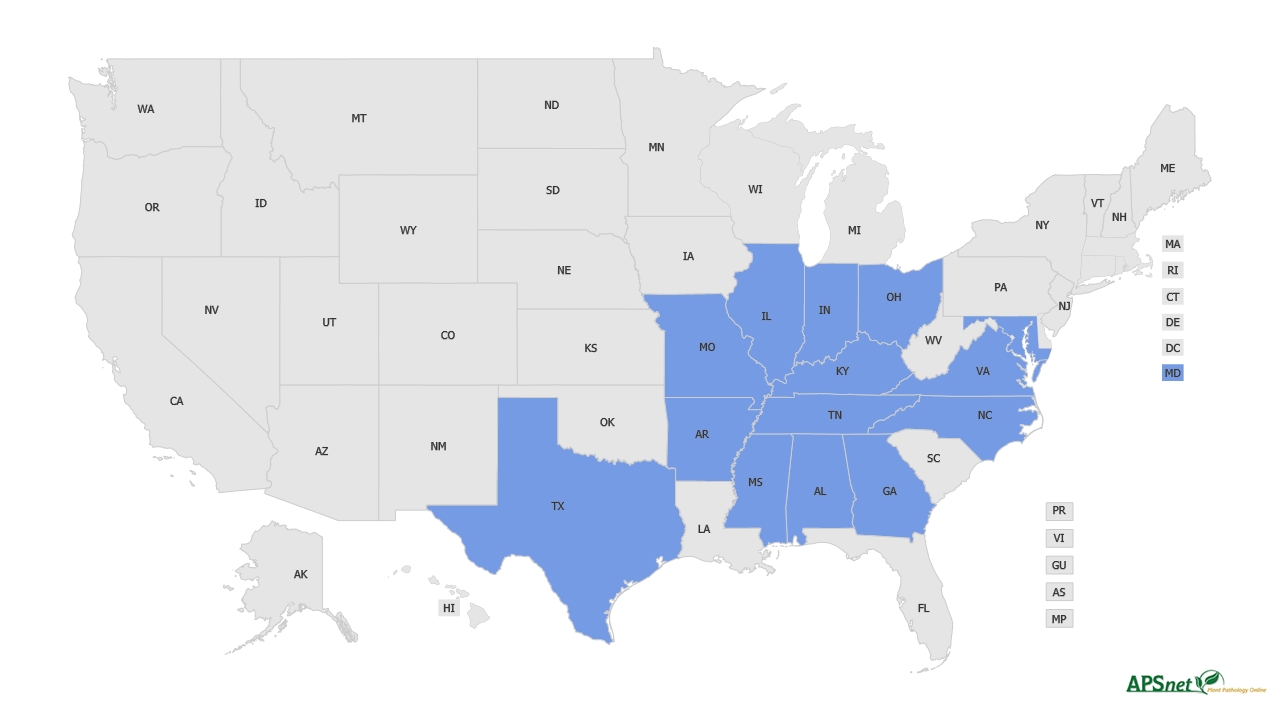 Maize Chlorotic Dwarf Virus (MCDV), Waikavirus MCDV Picornavirales ...