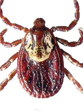 Resource Database - Home