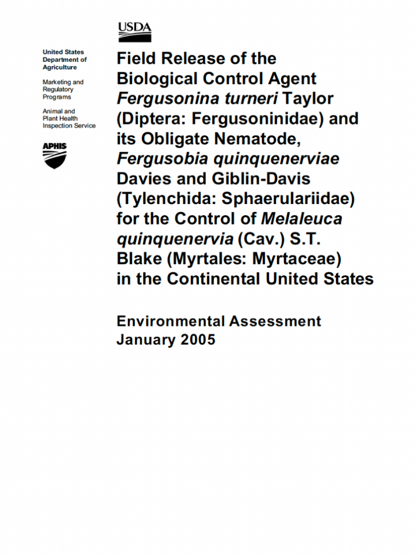 melaleuca (Melaleuca quinquenervia) - iBiocontrol