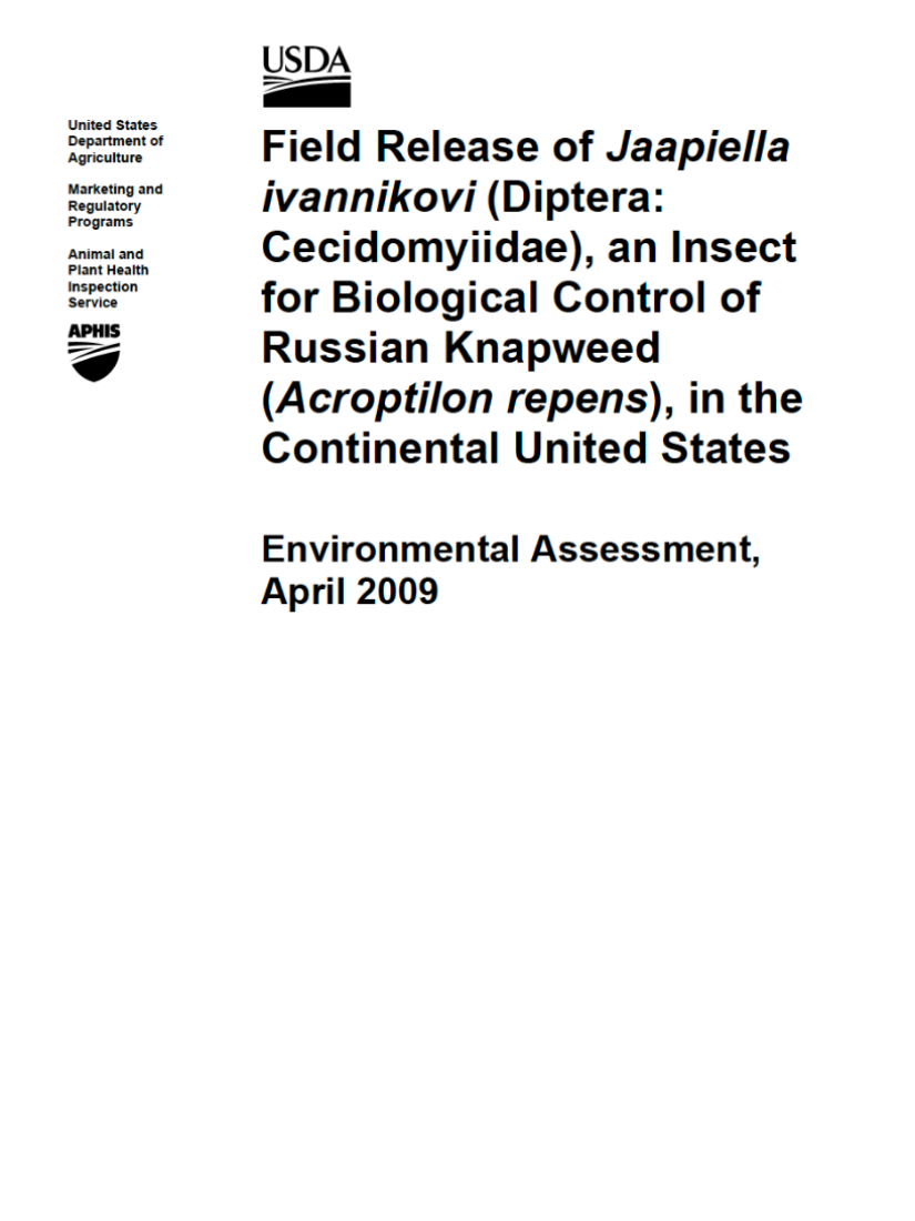 Russian knapweed (Rhaponticum repens) - iBiocontrol